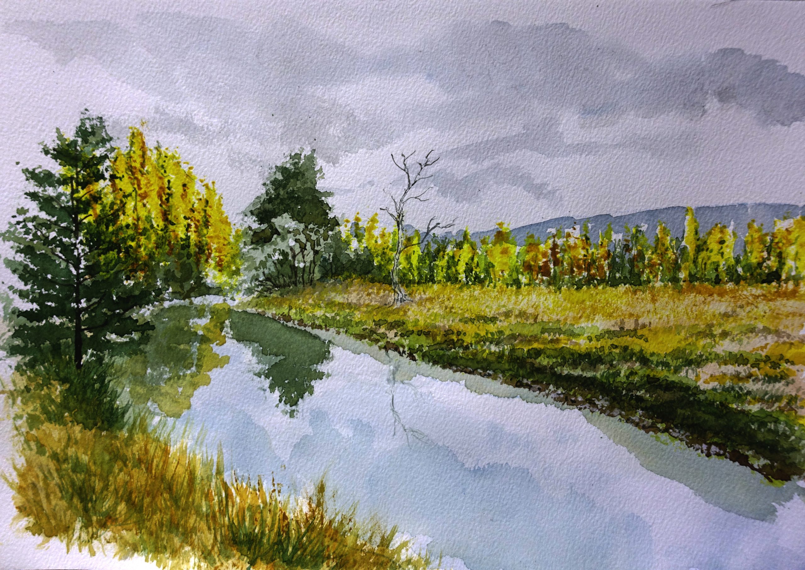 Summertime on the Tyenna | tasmanianlandscapes.com.au